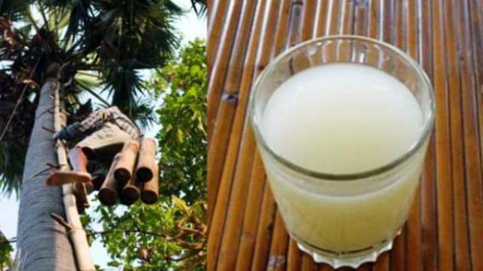 Tuak Brem Dan Arak Di Bali Dilegalkan Begini Kata Gubernur Bali