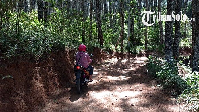 Kampung Tuwon, Daerah Terpencil di Wonogiri: Tengah Hutan Gunung Lawu ...