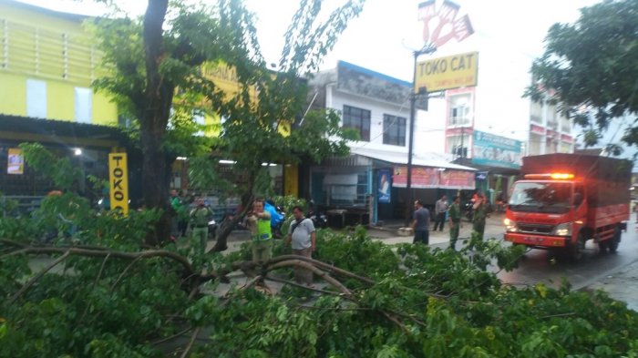 Dahan Pohon Patah Timpa Tiang Listrik dan Tutupi Jalan di Mojosongo Solo - Tribunsolo.com