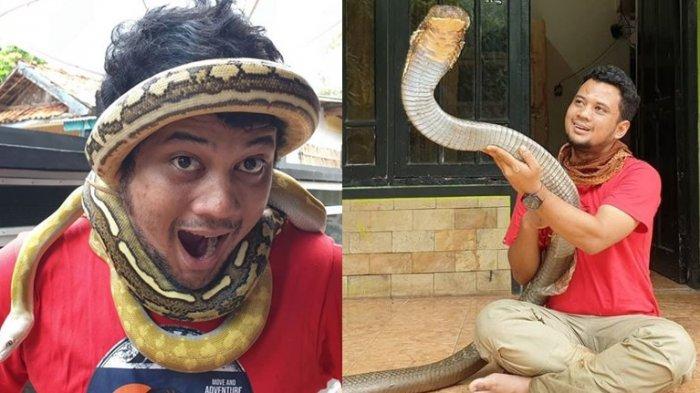 Curhat Panji Petualang Hobi Pelihara Hewan Buas, tapi Khawatir saat ...