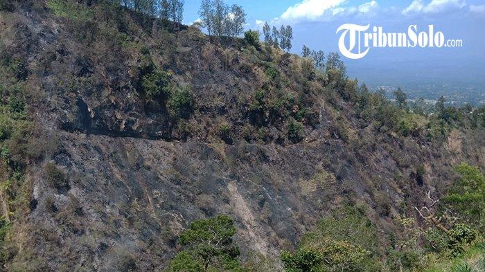 Semak Belukar Terbakar, 400 Meter Persegi Lahan Gunung Merapi Hangus ...