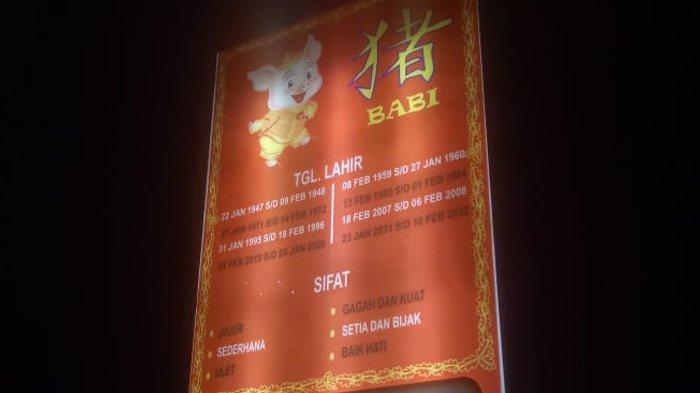 Shio Babi Tanah Jadi Lambang Tahun Baru Imlek 2019, Ini Deretan Fakta ...