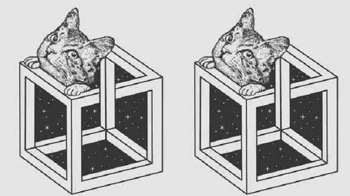 Tes Kepribadian: Apa Fokusmu dalam Ilusi Optik Ini? Jawabanmu Bisa ... Tes Kepribadian: Apa Fokusmu dalam Ilusi Optik Ini? Jawabanmu Bisa ...
