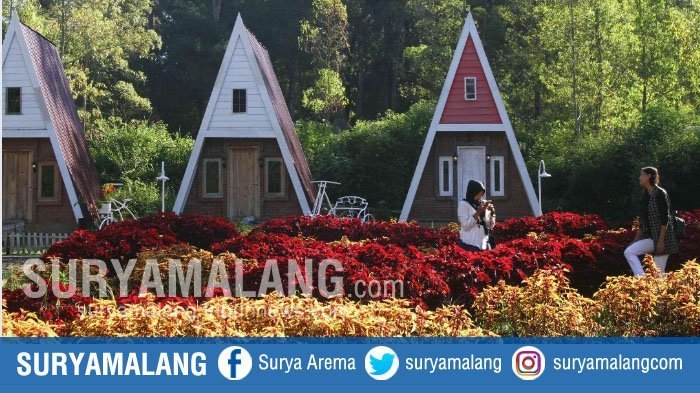 Tawarkan Sensasi Lain Menginap, Pagupon Camp di Batu Jatim Ini Punya ...