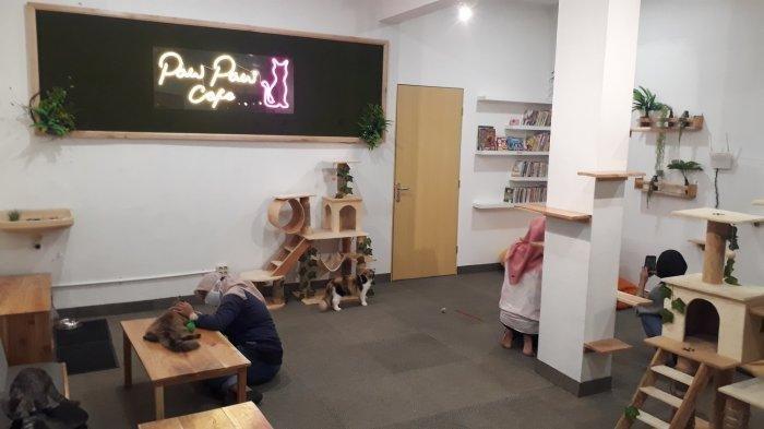 Paw Paw Cafe, Cafe Pertama di Solo Yang Tawarkan Konsep Bersantai Sambil Main Bareng Kucing ...
