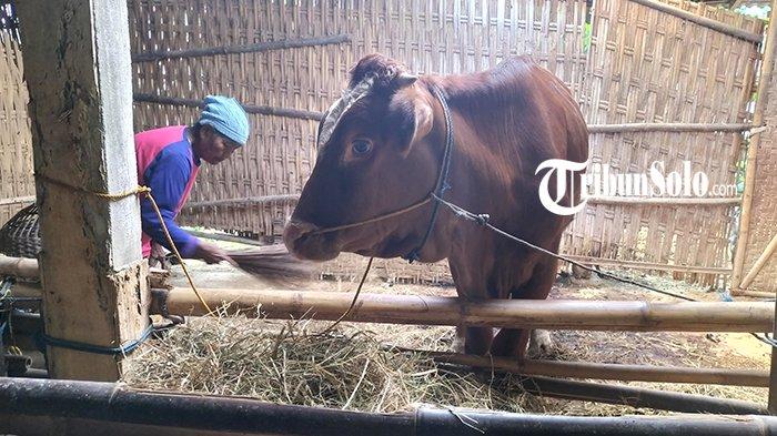 Urusan Gadai Motor Bikin Hubungan Keluarga Rusak, Keponakan di Sragen ...