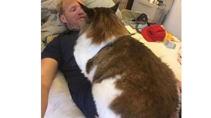 Gede Banget! Kucing Terbesar di New York City ini Beratnya 13 Kg ...