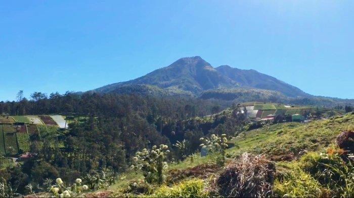 Tradisi 1 Suro di Gunung Lawu Karanganyar Jateng, Naik ke Hargo Dalem ...