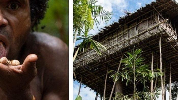 Ada di Papua, Inilah Suku Terakhir Di Dunia yang Masih Lestarikan Kanibalisme - Tribunsolo.com