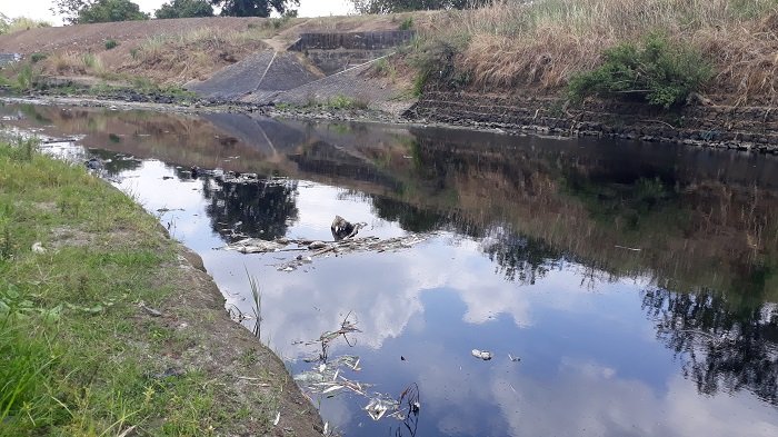 PDAM Surakarta: Air Sungai Bengawan Solo yang Tercampur Limbah Sudah ...