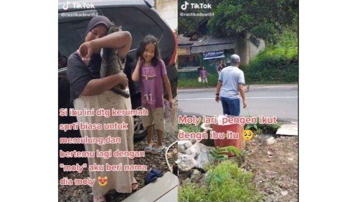 Viral Kucing Peliharaan Lari Hampiri Ibu Pemulung saat Bertemu ...