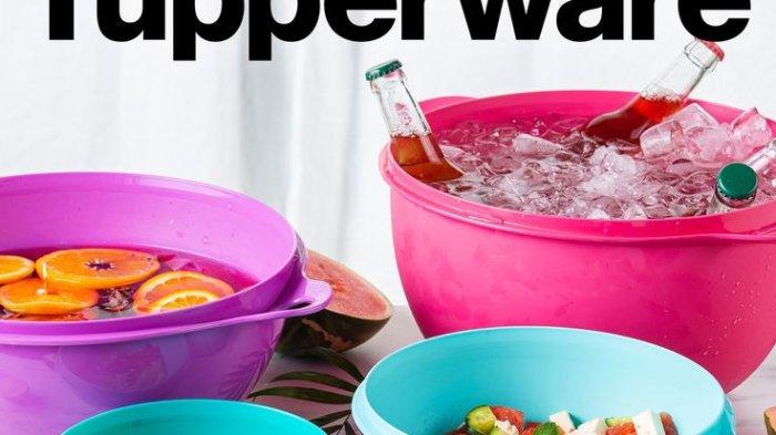Promo Tupperware, Steamer Empat Layer Rp399 Ribu - Tribunsorong.com