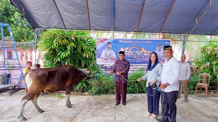 Faris Umlati Sumbang 295 Hewan Kurban Atas Nama Partai dan Caleg DPR RI ...