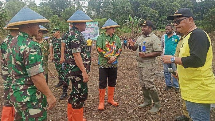 Program Gerakan Maybrat Menanam, Dinas Pertanian dan Perkebunan Fokus ...
