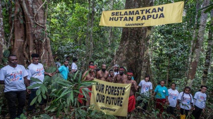 Lewat Kemah Adat, Pemuda Papua Desak Pemerintah Lindungi Hutan Hujan Tropis Terbesar Indonesia ...
