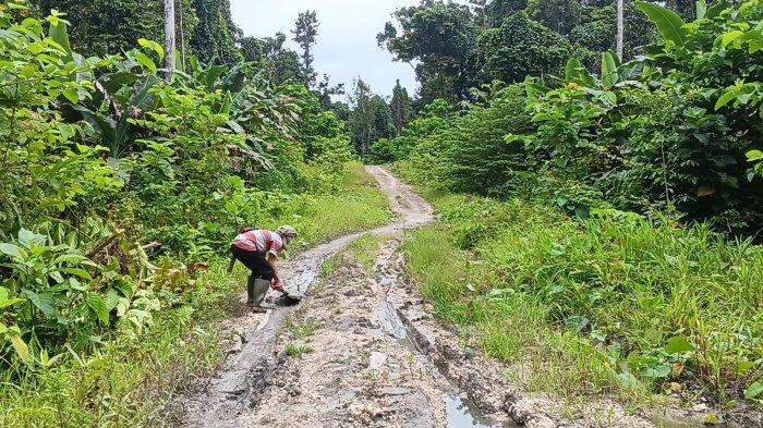 Warga Kampung Wardik Sorsel Keluhkan Ruas Jalan Rusak Berat, Tak Ada Perbaikan Bertahun-tahun ...