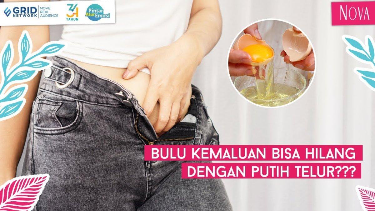 5 Cara Hilangkan Rambut Miss V Dengan Bahan Alami, Tanpa Perlu Mencukur dan Tak Khawatir Sakit ...