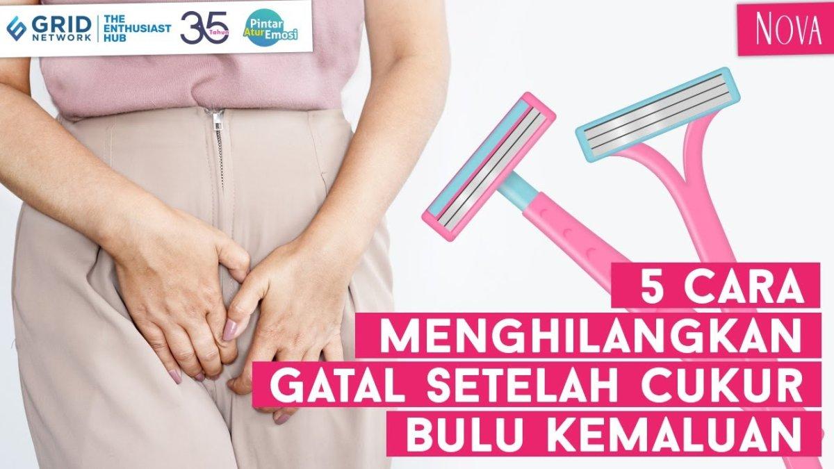 5 Cara Menghilangkan Rasa Gatal dan Iritasi Setelah Mencukur Rambut Kemaluan, Tak Perlu ke ...