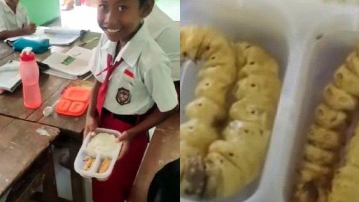 Ingat Bocah SD Bawa Bekal Ulat Sagu? Namanya Andik Asal Bojonegoro ...