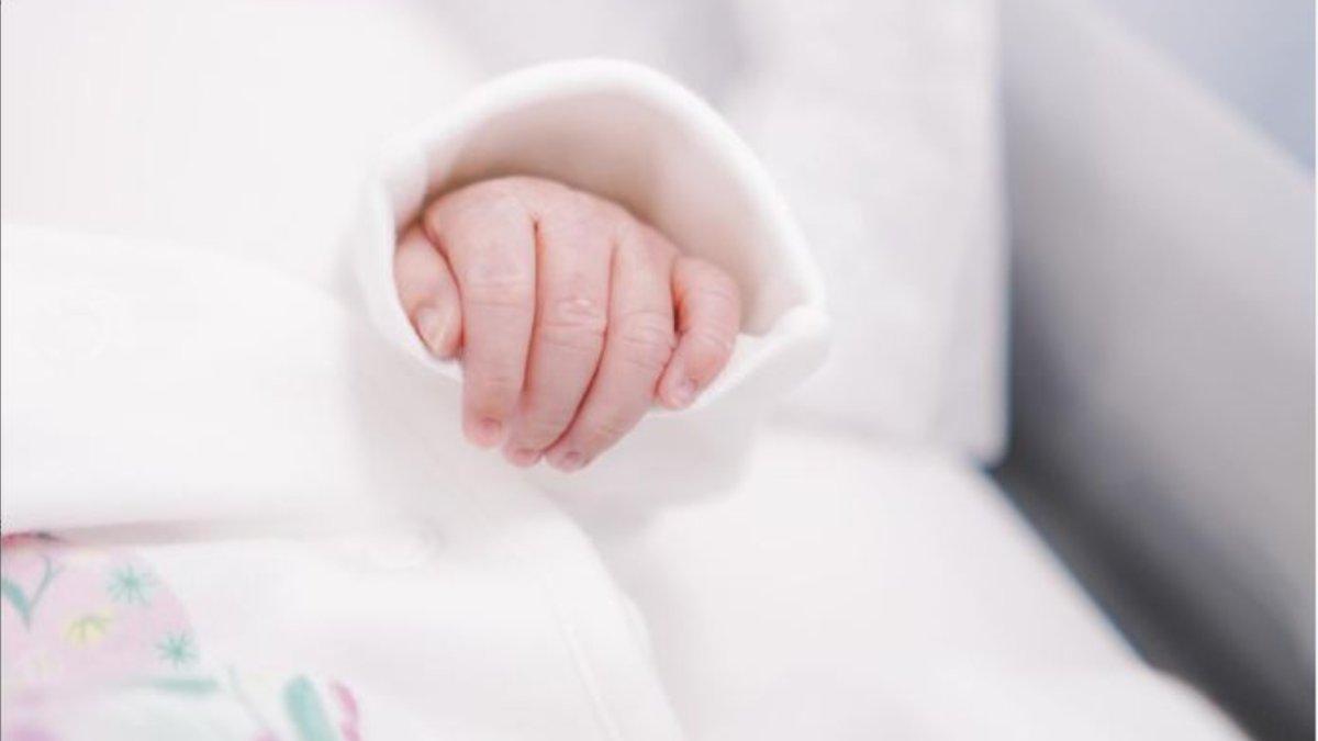 Velove Vexia Melahirkan Anak Pertama, Unggah Foto Tangan Bayi ...