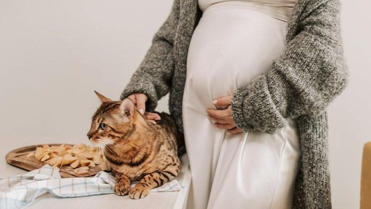 Calon Ibu Kehilangan Janin Saat Kandungan 9 Bulan, Diduga Karena ...