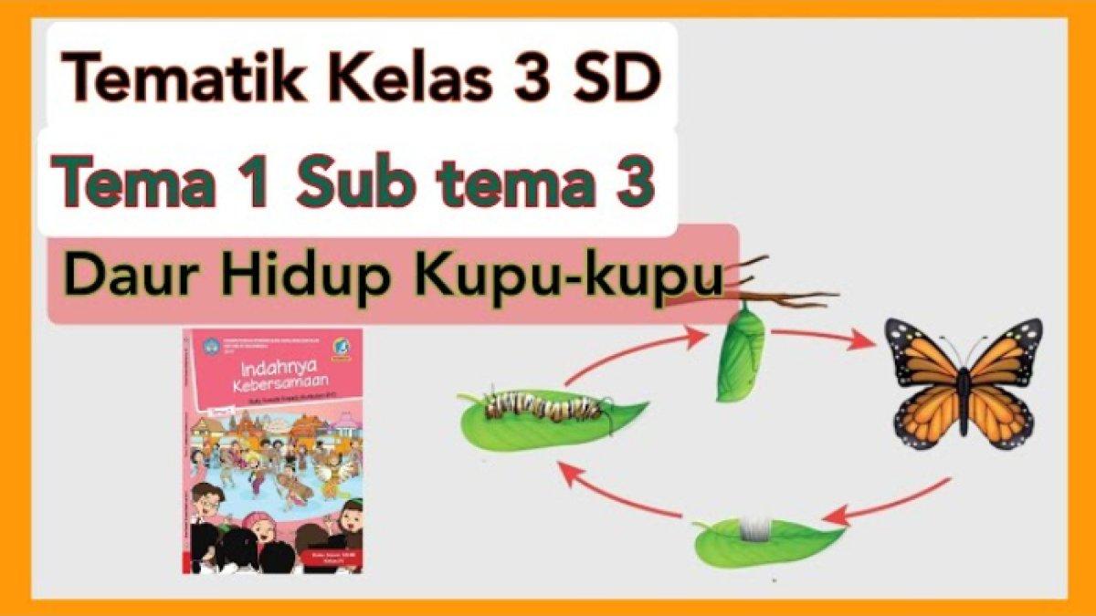 Kunci Jawaban IPAS Kelas 3 SD/MI Halaman 57, 58 Kurikulum Merdeka ...