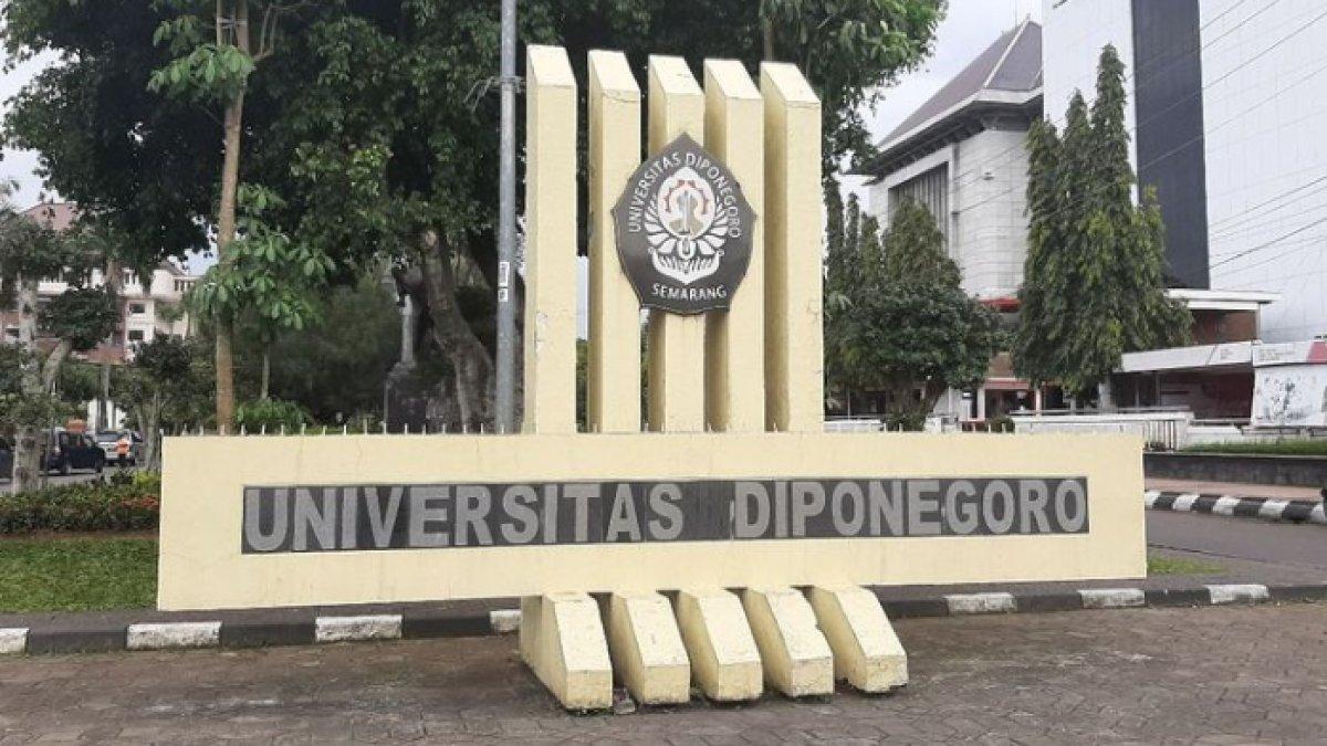 5 Jurusan di Undip yang Minim Peminat, Besar Kemungkinan Diterima, Bisa ...