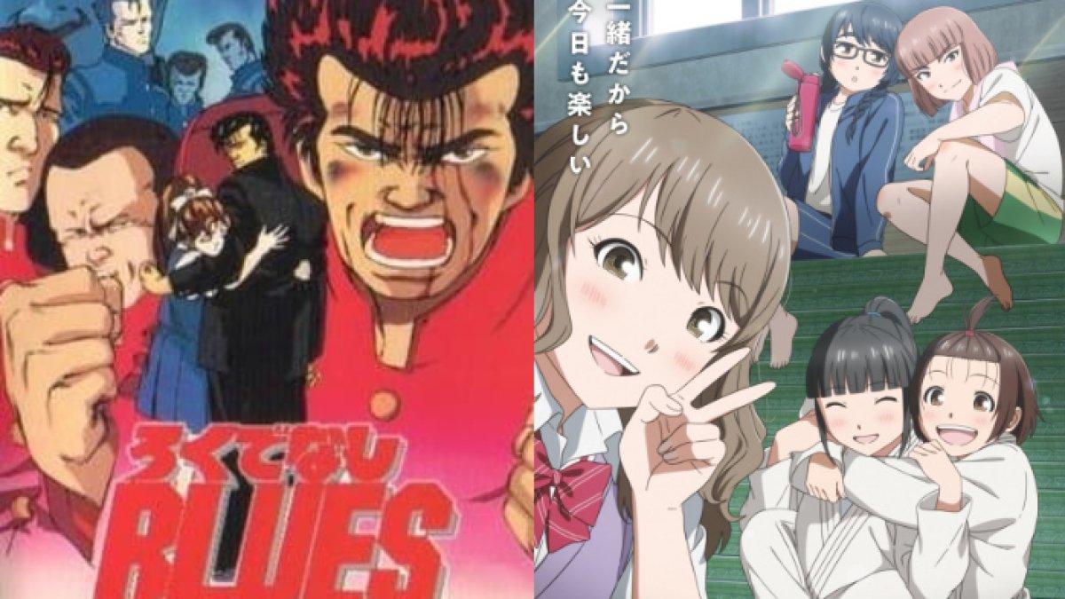 Cari Tontonan Olahraga Seru? Ini 5 Anime 17+ Tema Combat Sport ...