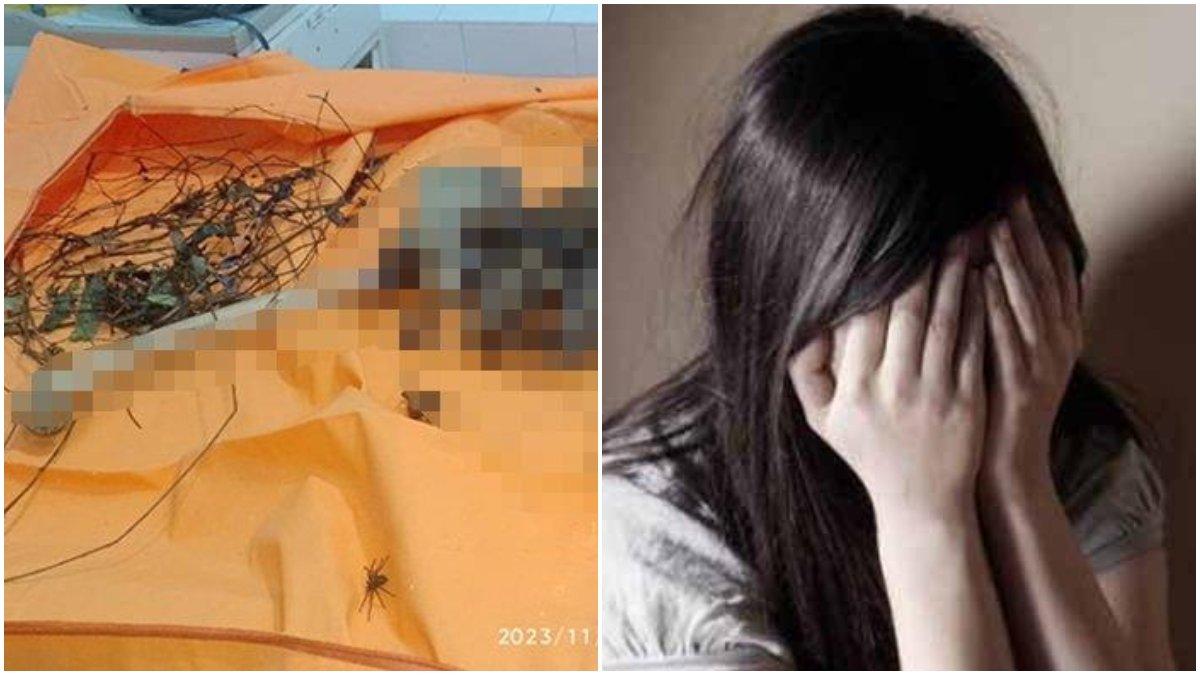 NAHAS Mahasiswi ITB Inhu Tinggal Kerangka, Pelaku Niat Pacaran Tapi Sudah Beristri, Bunuh Demi ...