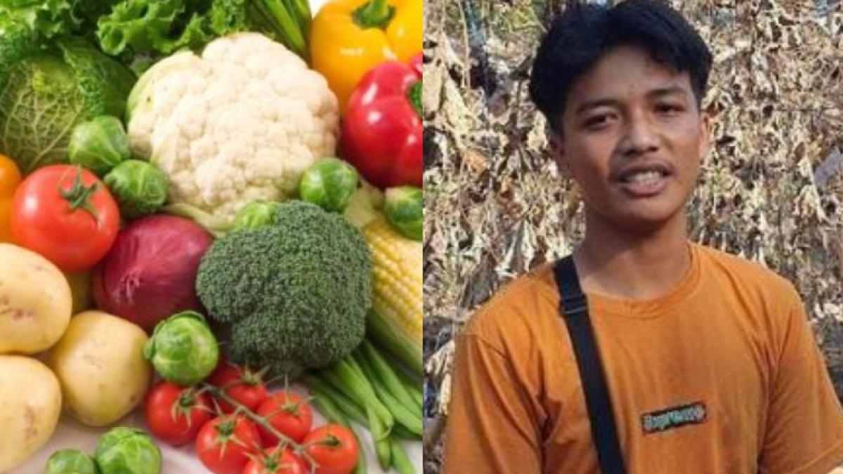SOSOK Alva, Siswa SMK Gunungkidul Jualan Sayur Omzet Rp100 Juta, Bisa ...