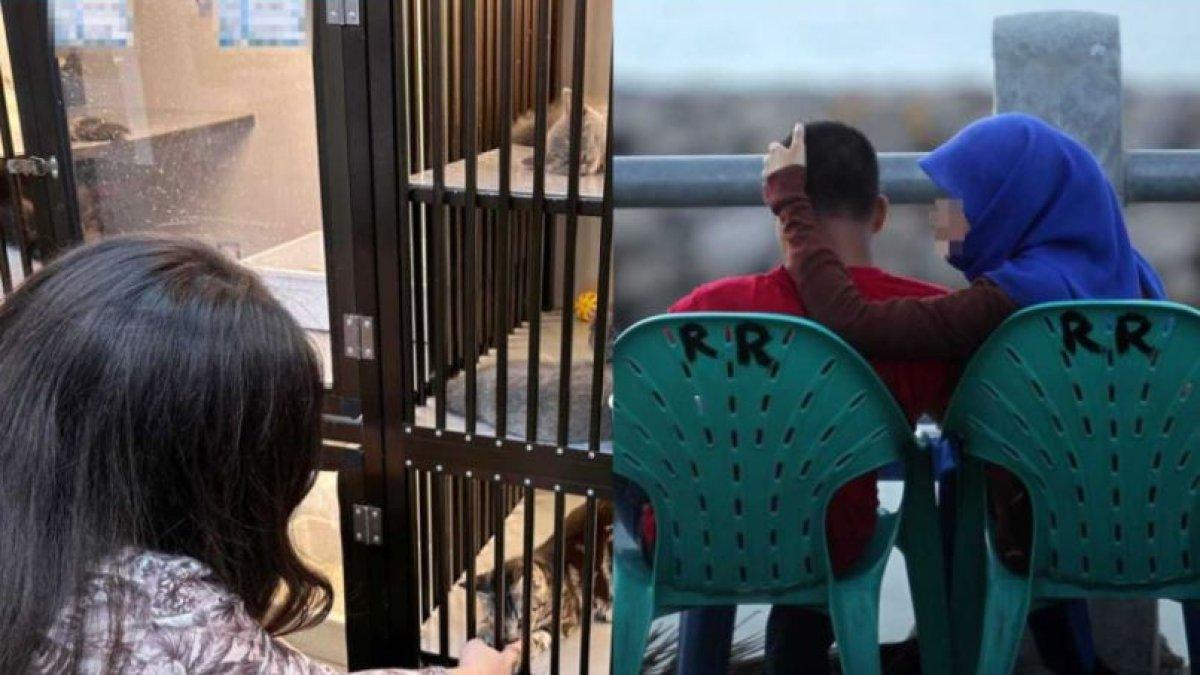 PASANG CCTV Untuk Awasi Kucing, Istri Syok Pergoki Suami Selingkuh dengan Wanita Lain: Ngaku ...