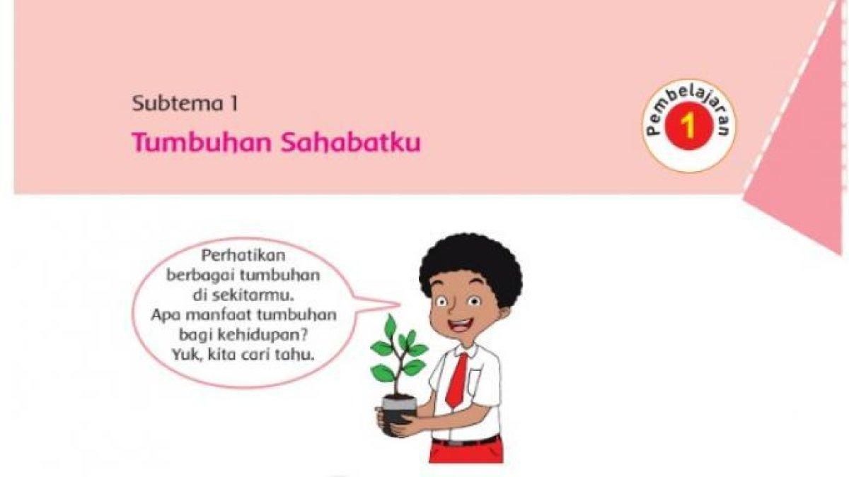 Kunci Jawaban Buku Tematik Tema 1 Kelas 6 SD Halaman 2-16 Kurikulum Merdeka: Tumbuhan Sahabatku ...
