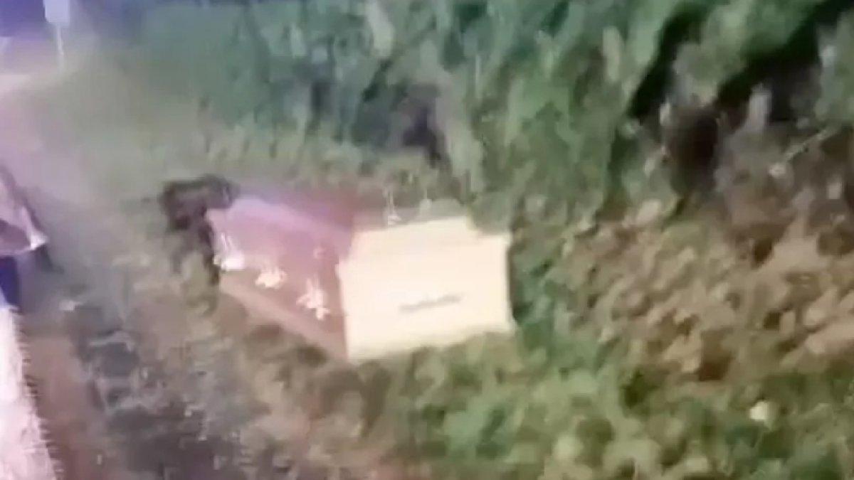 Muncul Peti Mati di Pinggir Jalan Raya Bikin Warga Bertanya-tanya, Kondisi Ambulans ...