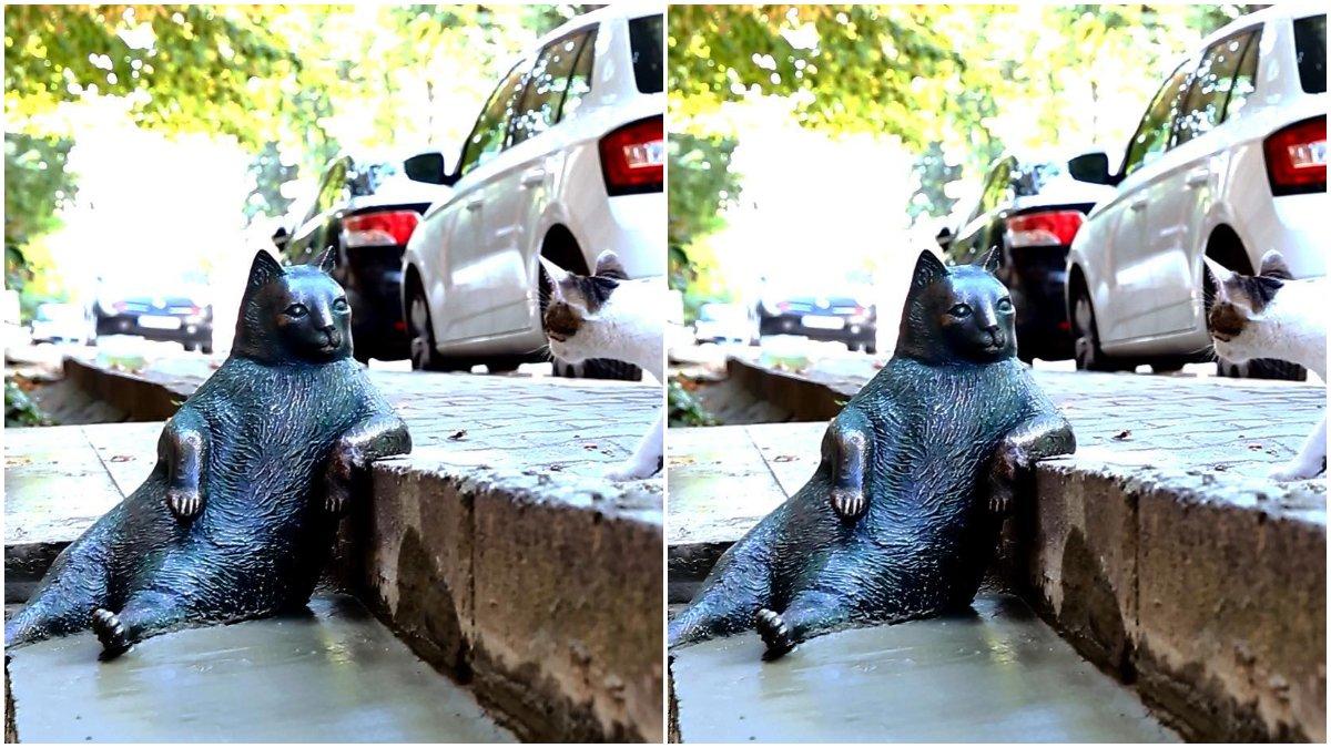 Tombili Si Kucing Santuy Istanbul, Dianugerahi Patung Perunggu ...