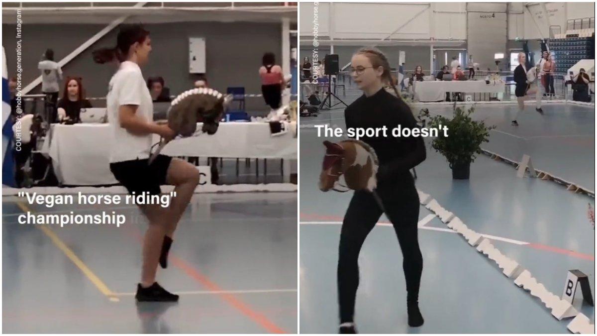 VIRAL Kompetisi Berkuda Vegan di Finlandia, Malah Mirip Kuda Lumping ...