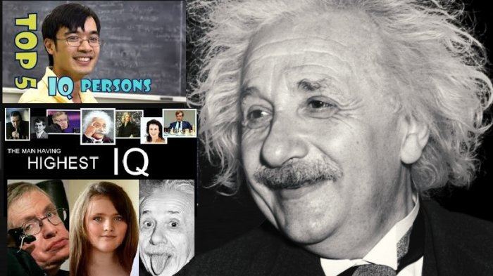 8 Orang Paling Tinggi IQ Sedunia, No 4 Komputer Aja Kalah Jenius! No 5 ...