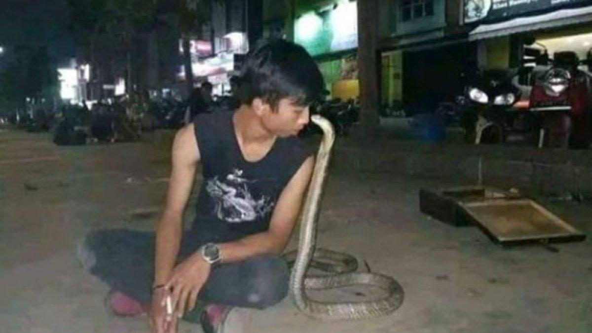 Kabar Duka, Alprih Kru Panji Petualang Meninggal Dunia, Sang Pawang Ular Tewas Digigit King ...