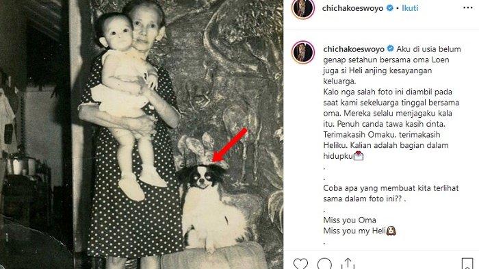 Ingat Lagu 'Heli Guk Guk'? 43 Tahun Berlalu, Foto Anjingnya di Dunia ...
