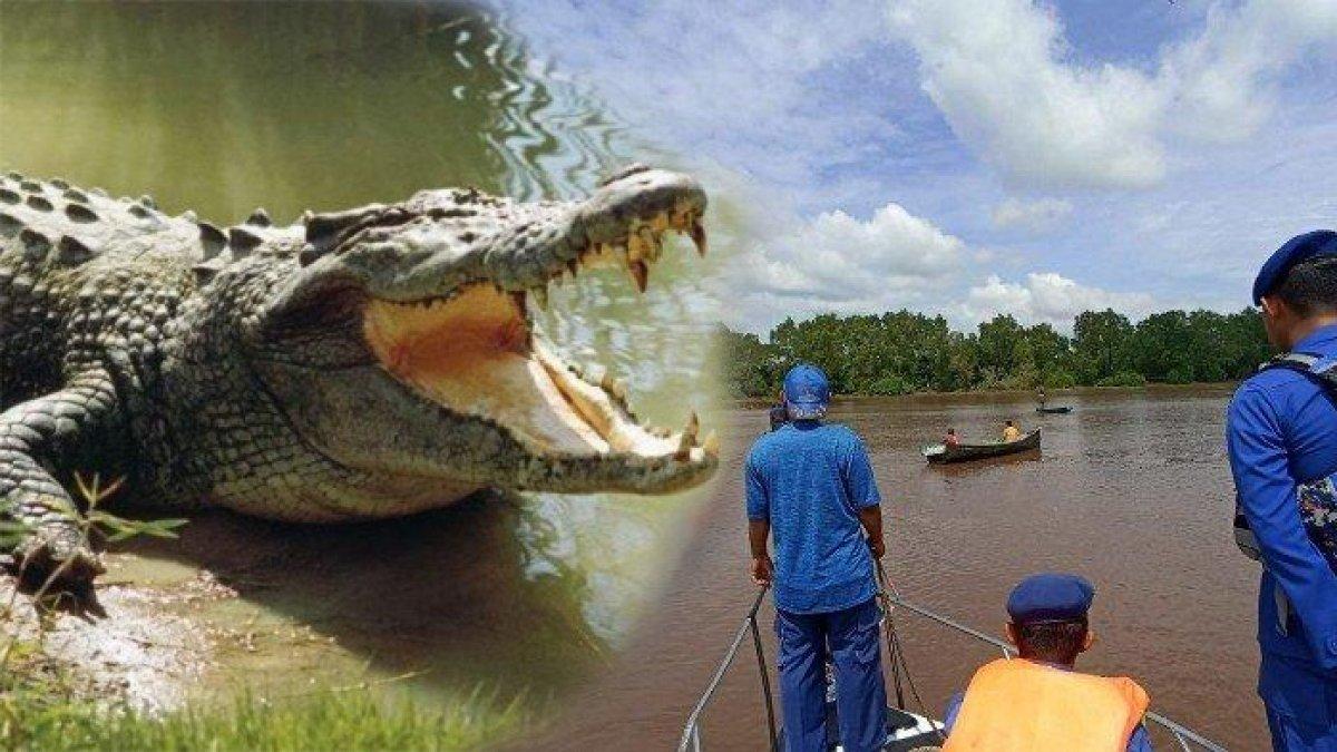 KRONOLOGI Remaja Mempawah Diterkam Buaya, Ditemukan Tewas Mengapung, Bagaimana Kondisi Tubuhnya ...