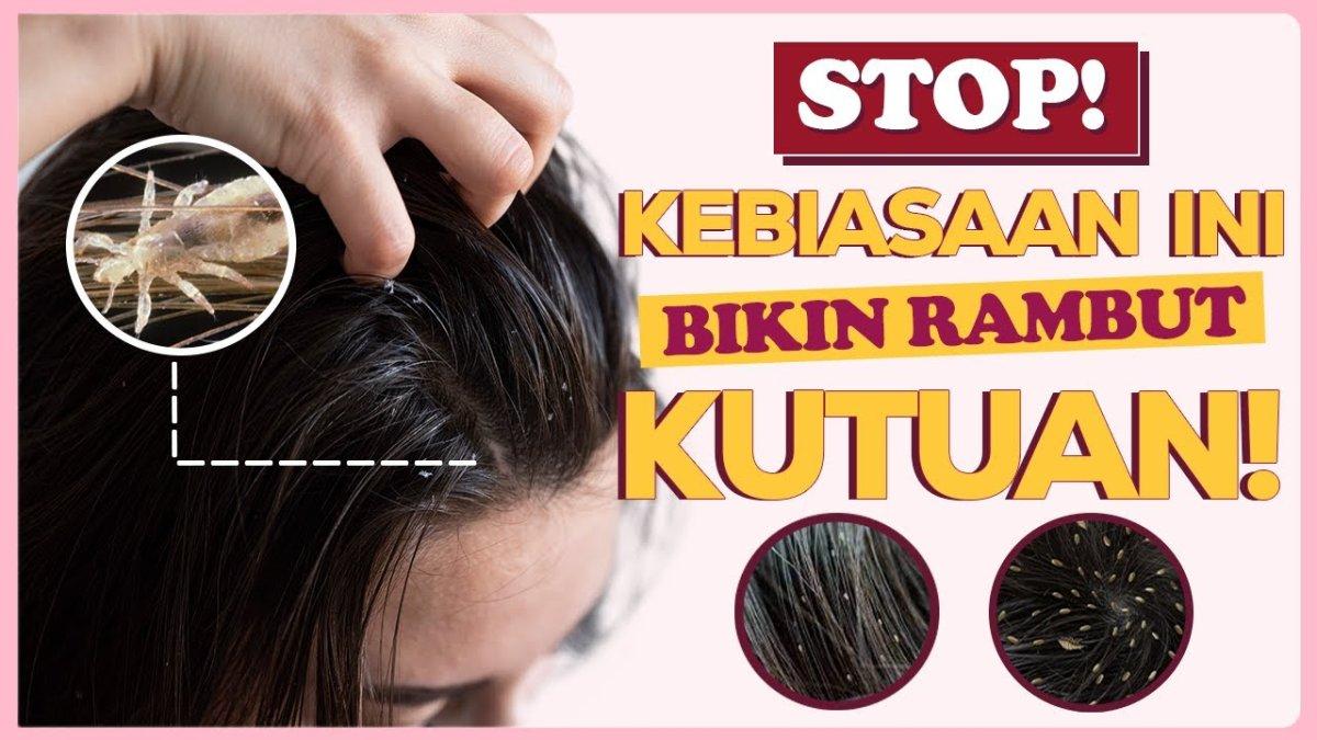 5 Cara Mudah dan Ampuh Mengatasi Rambut yang Sudah Menjadi Sarang Kutu ...
