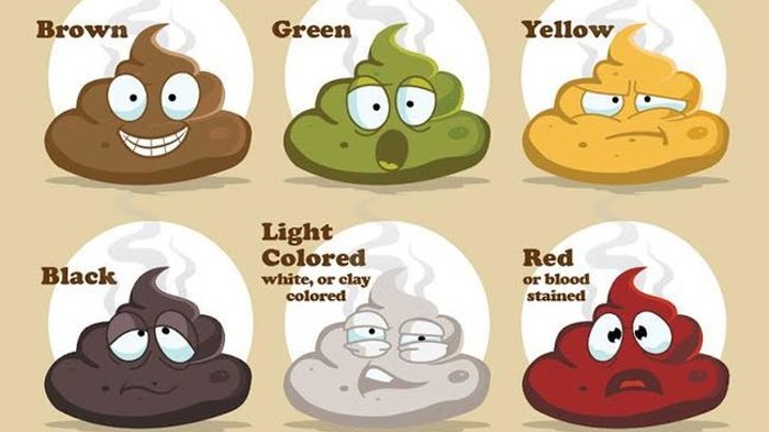 Waspada! Warna BAB Ternyata Bisa Mendeteksi Kesehatanmu, Jika Begini ...