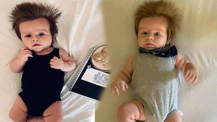 Kenalkan Baby Boston, Bayi 4 Bulan yang Sudah Punya Rambut Jabrik dan ...