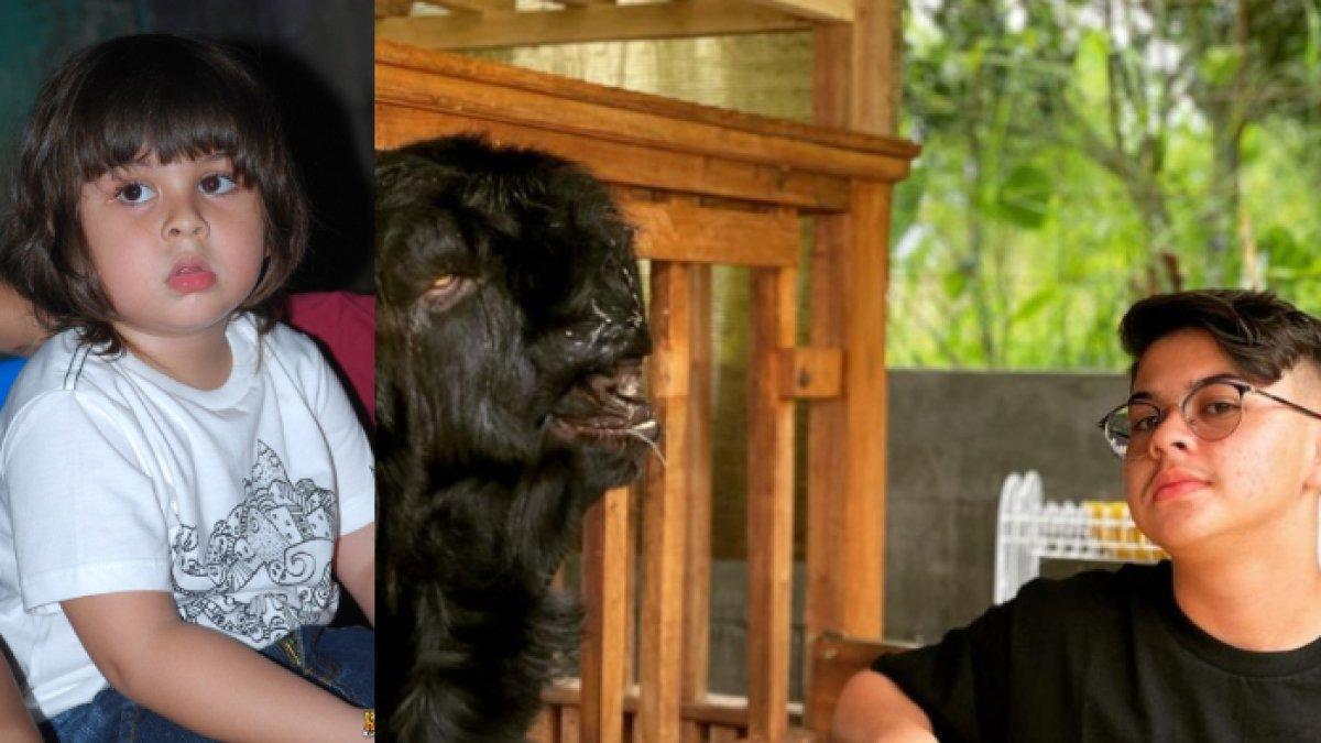 Masih Ingat Aktor Baim Cilik? Kini Makin Ganteng & Sukses Jadi Juragan ...