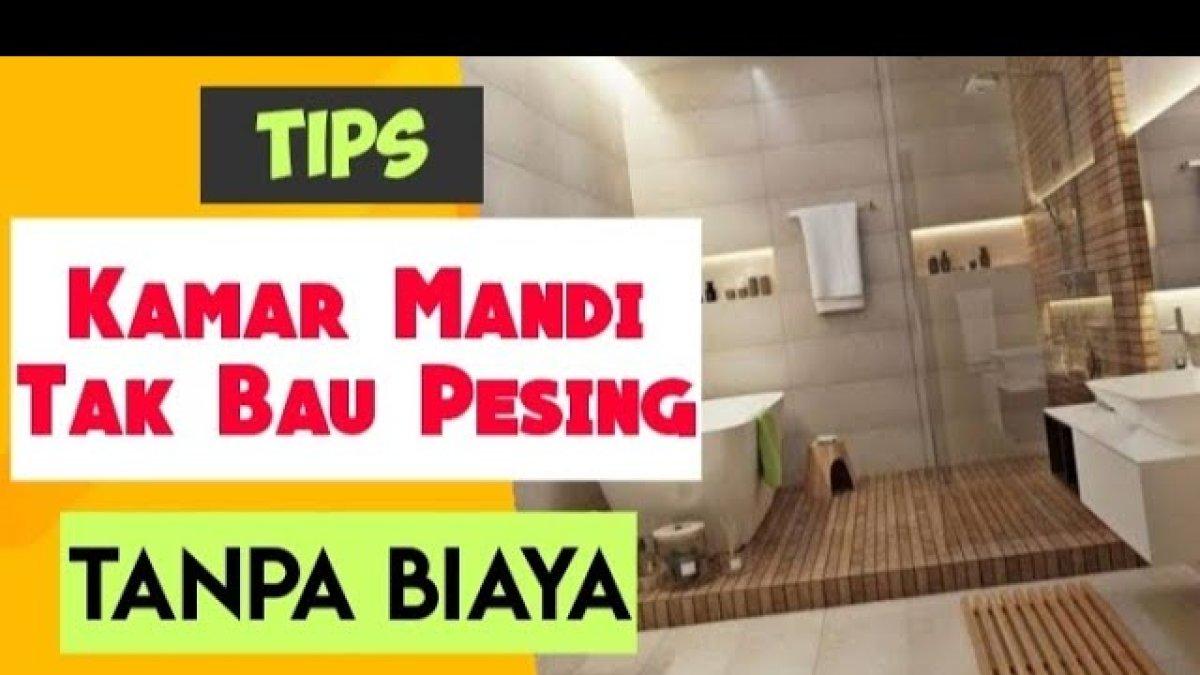 5 Cara Mengatasi Bau Pesing di Kamar Mandi Dengan Bersihkan Kamar Mandi ...