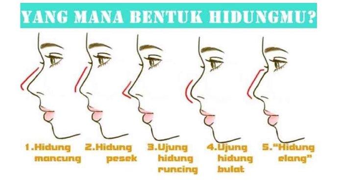 Karakter Orang Dilihat dari Bentuk Hidungnya, Mulai dari Pesek hingga ...