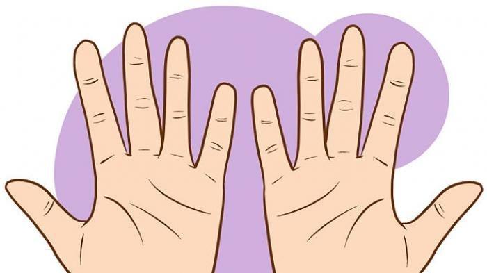 Mengungkap Kepribadian Seseorang Bisa Dilihat dari Bentuk Tangan, Cek ...