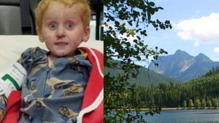 VIRAL Bocah 4 Tahun Tersesat dalam Hutan Selama 2 Hari, saat Ditemukan Badan Hampir Beku ...