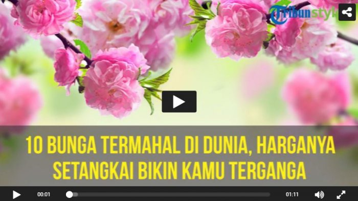 Inilah 10 Jenis Bunga Termahal di Dunia, Harganya Bikin Kamu Ternganga ...