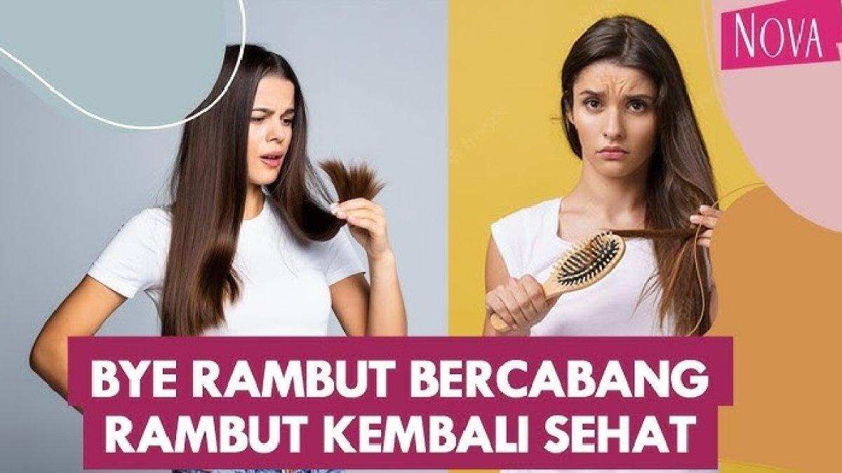 5 Cara Mudah Bikin Rambut Berkilau Alami, Rambut Badai Minim Budget ...