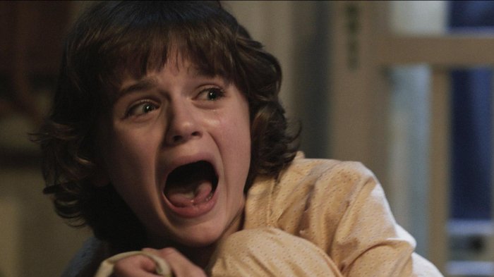 Ingat Gadis Kecil Christine Perron Dalam Film The Conjuring? Kini ...